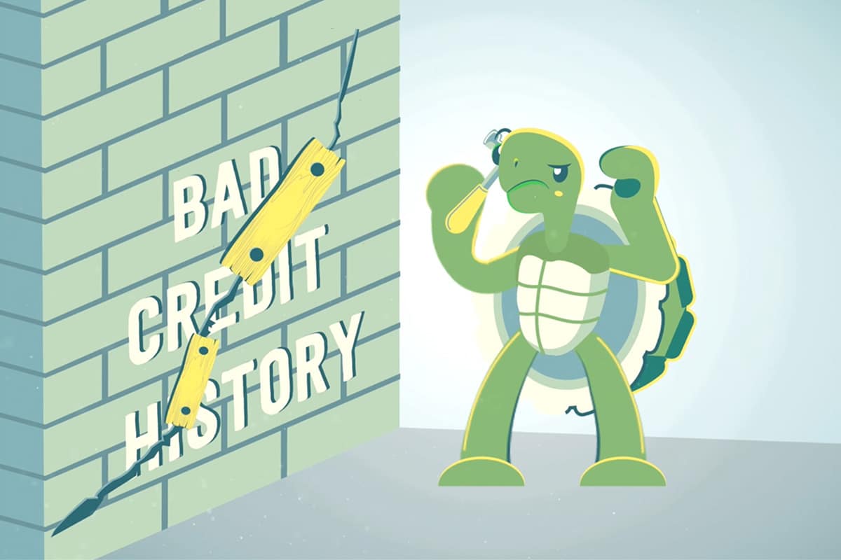 What Is Credit? | Turtle Credit | Revolving Credit, Installment Credit