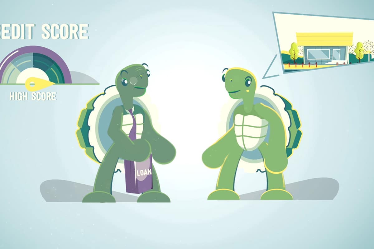 What Is Business Credit? | Turtle Credit | What Is Business Credit?